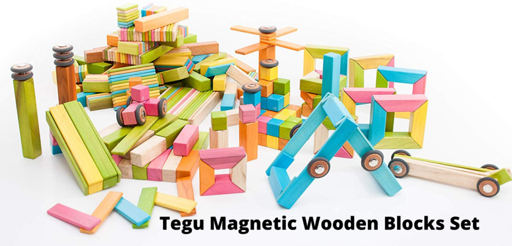 Choose the best Tegu Magnetic Wooden Blocks Set - Toddlers Need